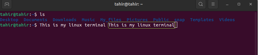 How Do You Copy and Paste a Terminal Command in Linux/Ubuntu ...